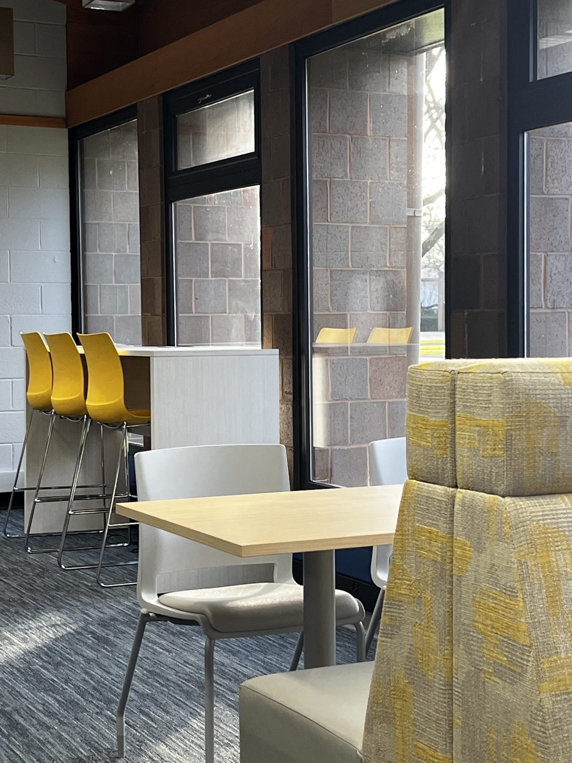 Vineland Public Library